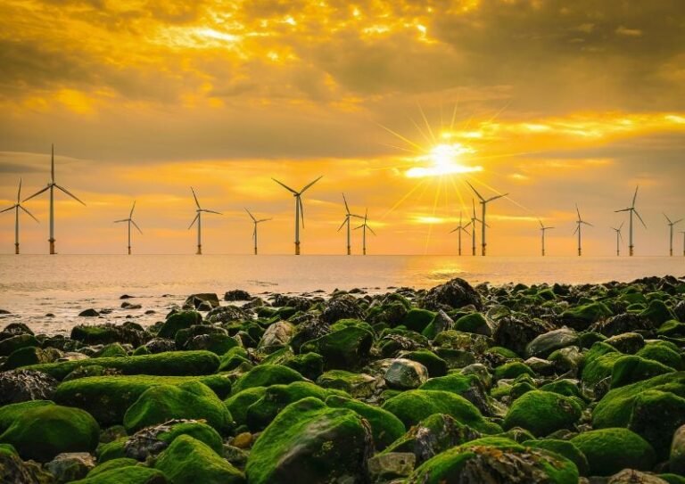 Wind Energy: How It Works, Advantages And Disadvantages - Wealth Wise ...